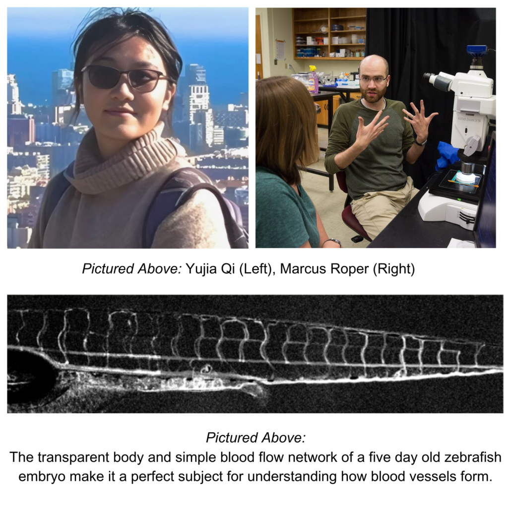 Home - UCLA Mathematics