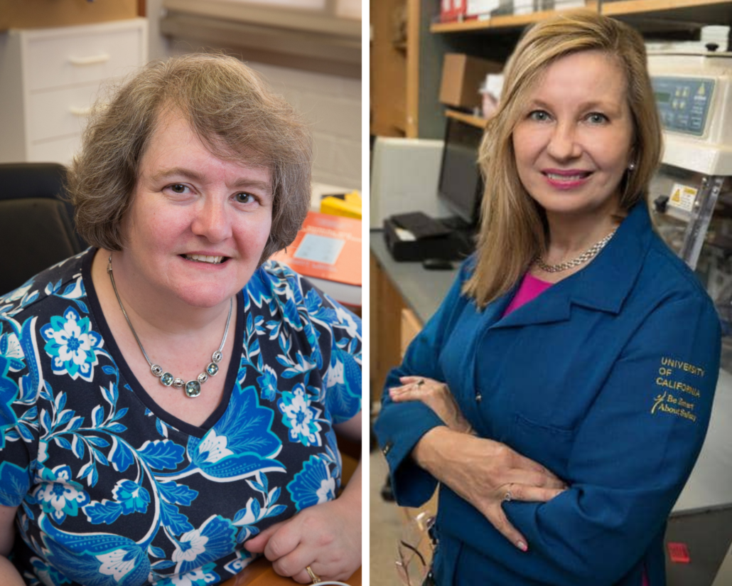 Home - UCLA Mathematics